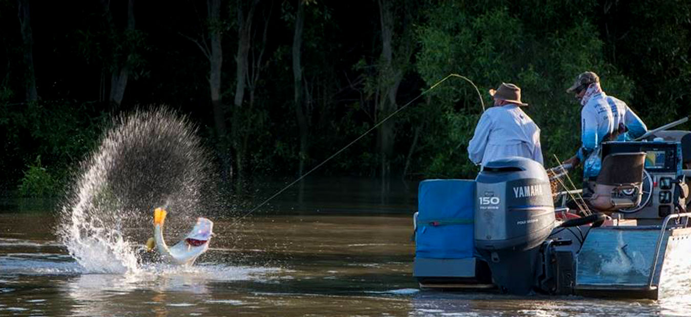 About - Spring Tide Safaris